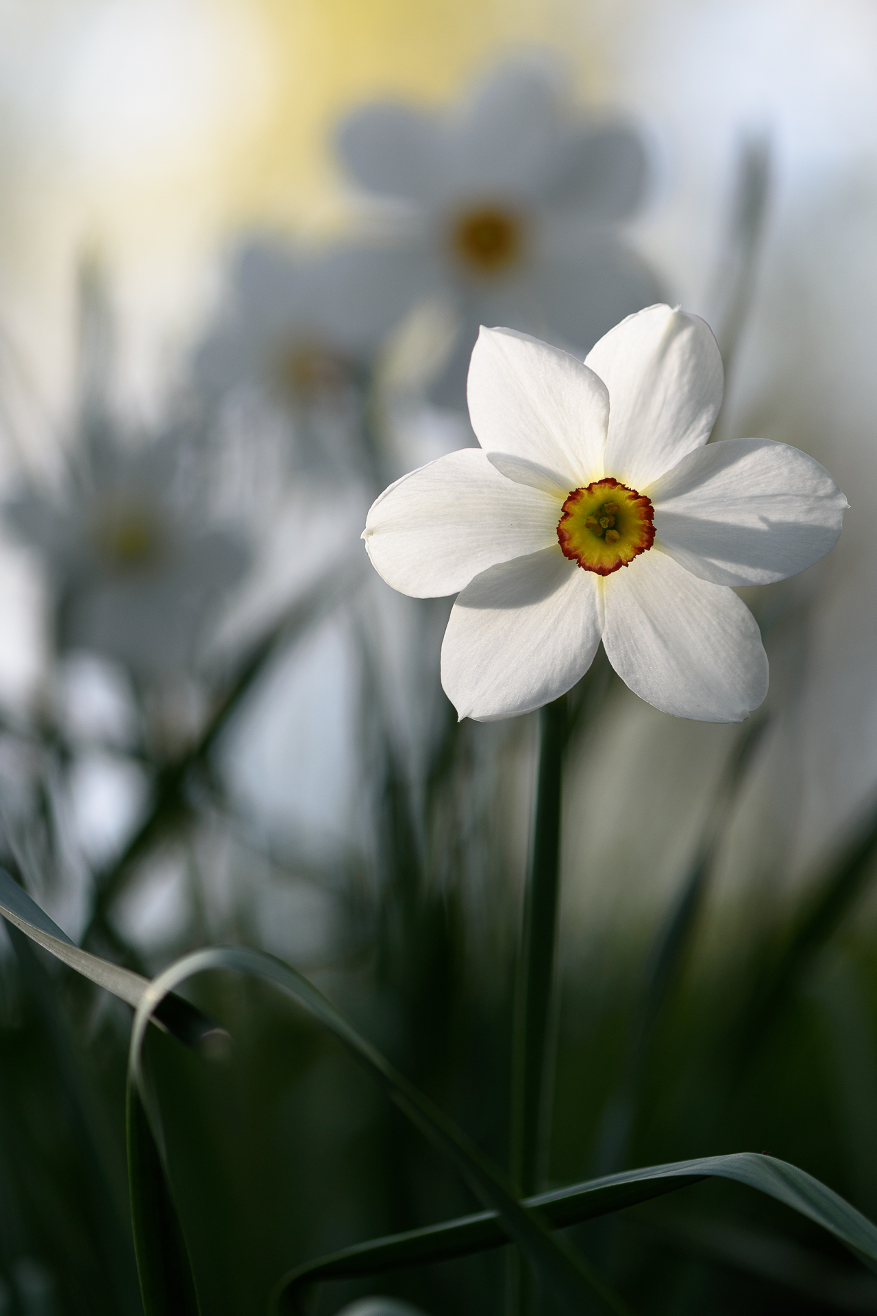 Danielle Bouchard-2 – Club photo Le Pixeliste